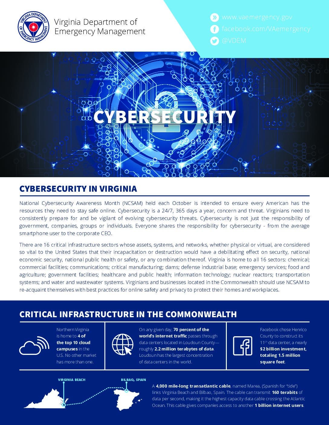 Publication - Cybersecurity | VDEM